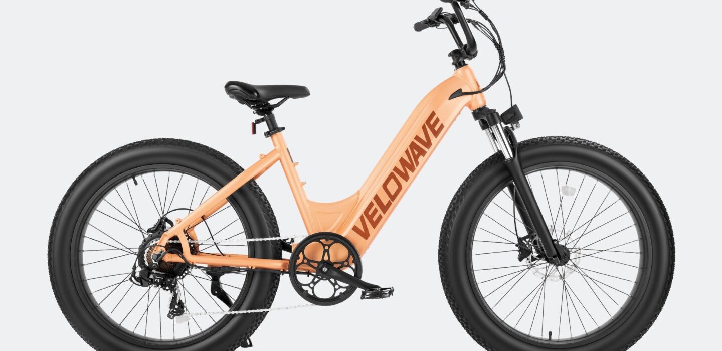 Rover Step-Thru Electric Bike – Evunicycles